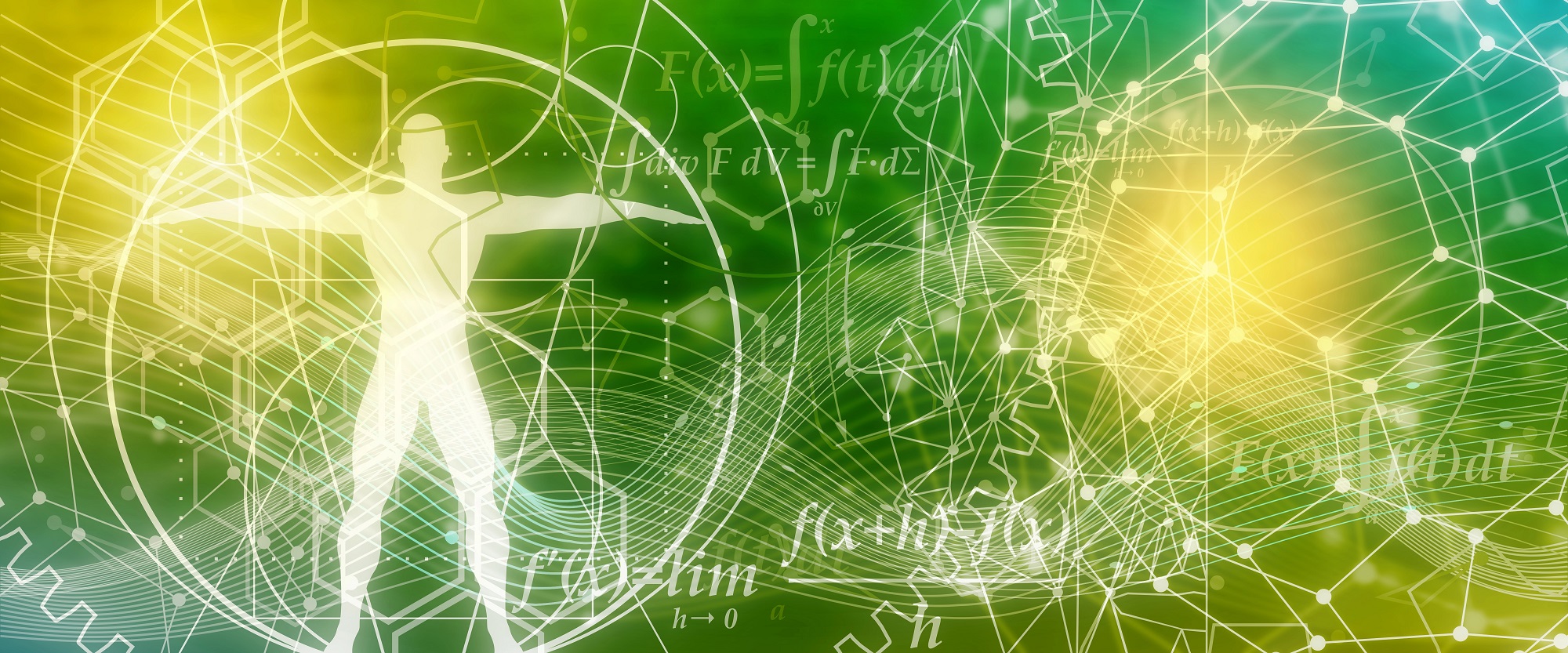 Unlock Optimal Health Through BioEnergetics Human Body Energy Scan