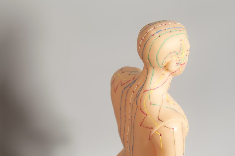 The Meridians and Energy Flow in the Human Body